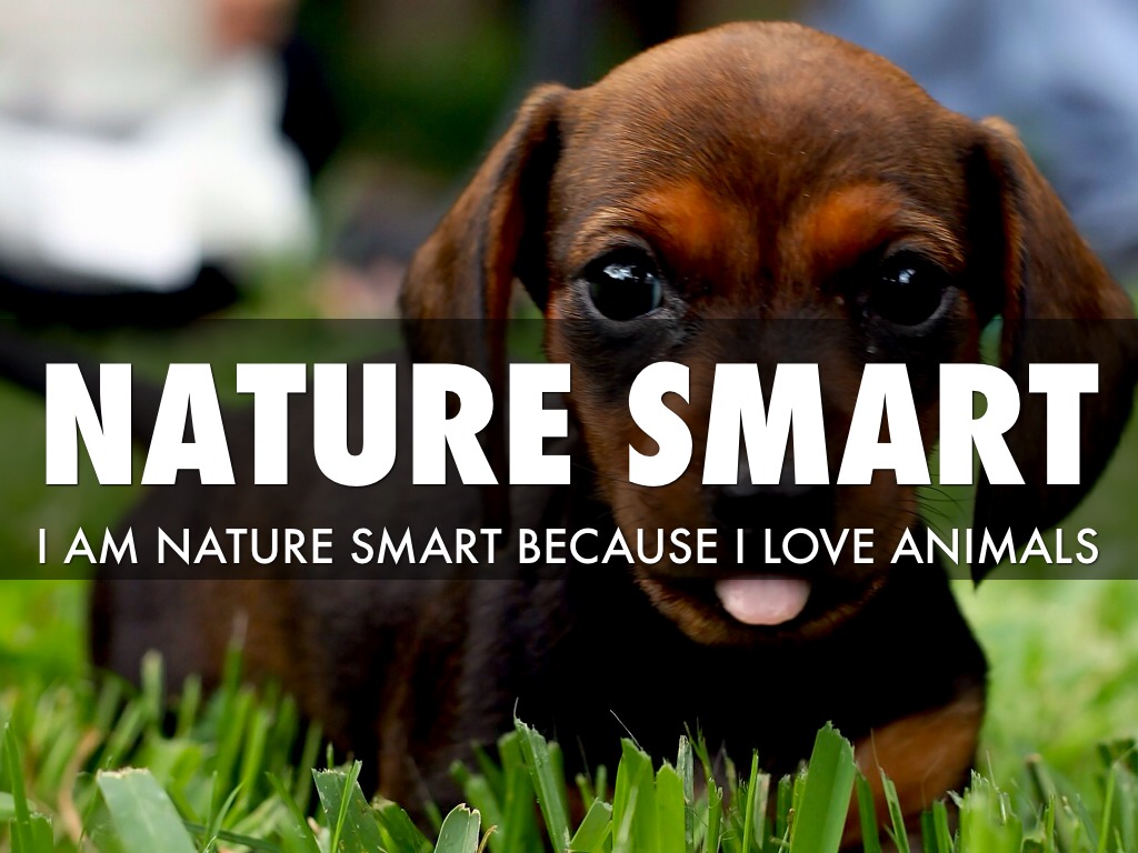 Understanding Intelligence - 20 Common Traits Of Highly Intelligent People