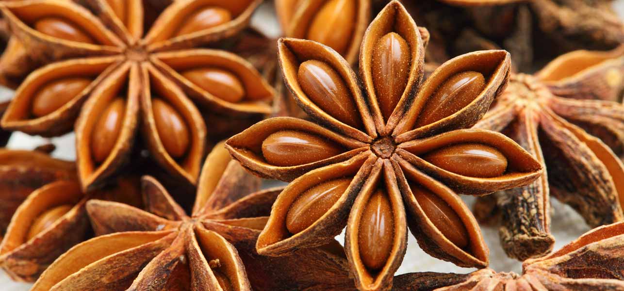 44 Herbs and the remedies they are known to possess