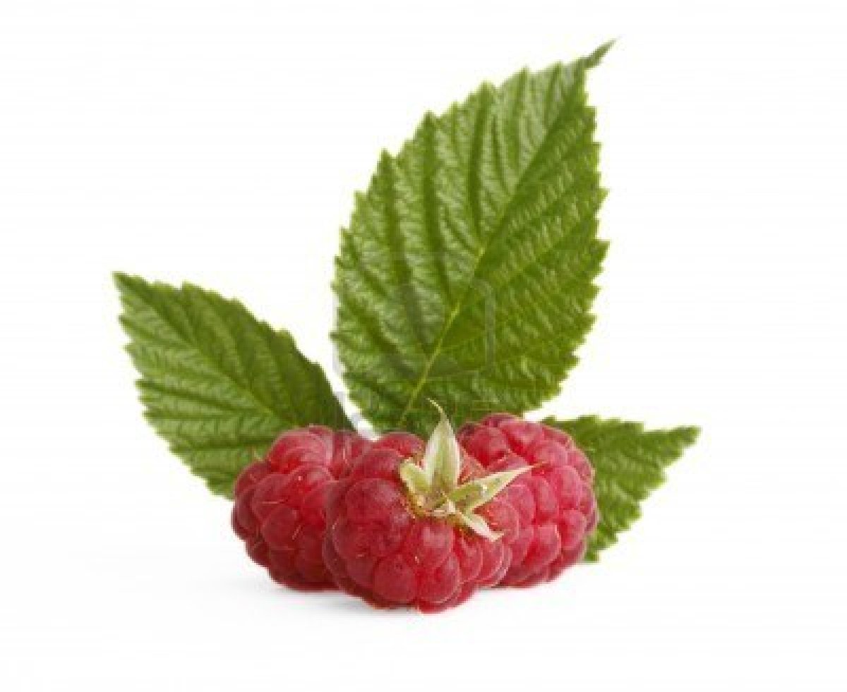 44 Herbs and the remedies they are known to possess
