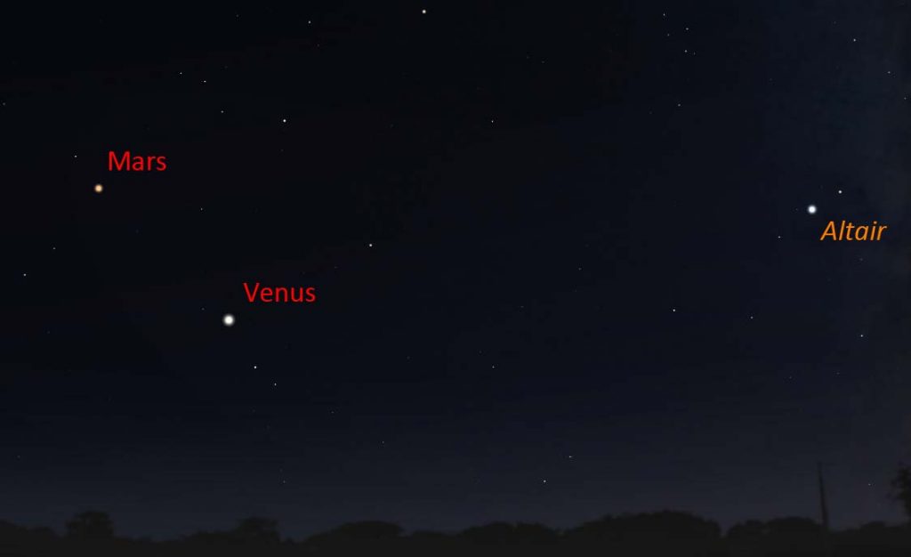 The Role of Venus in Vedic Astrology - Meaning of Its Sign Placement