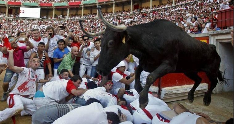 The most daring photos that you have ever seen on Internet