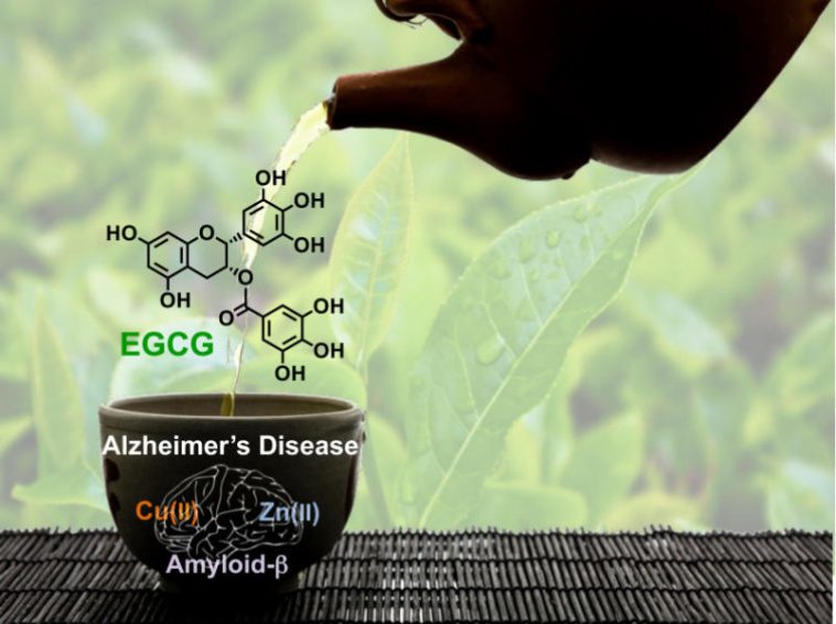 Green Tea - The hidden gem for your health