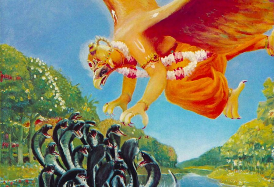 Significance of Vishnu Having Both Adishesha and Garuda, Sworn Rivals